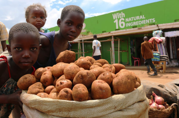 Potatoes on Mars with NASA – Annual Report 2016