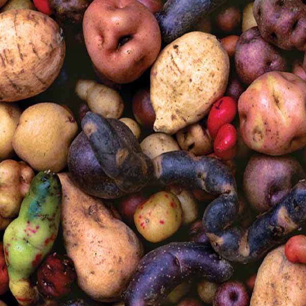 FOREWORDS – Annual Report 2016