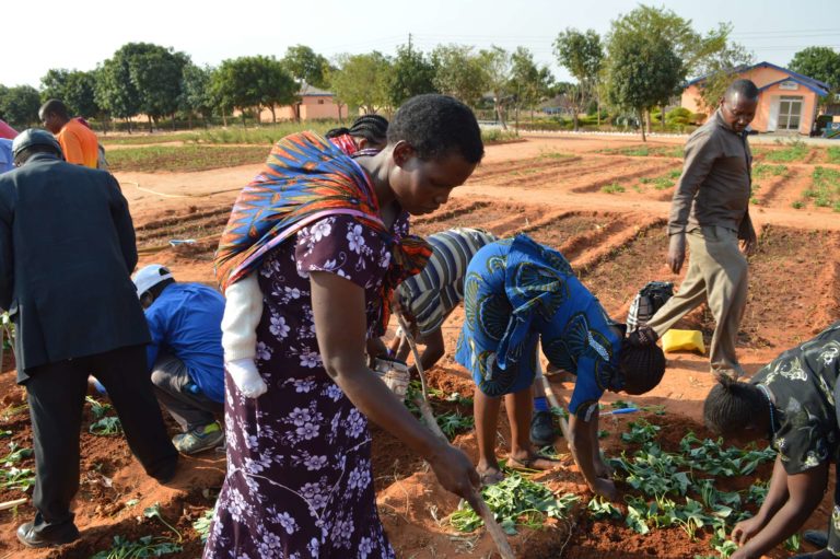 OUR CROPS – Annual Report 2016