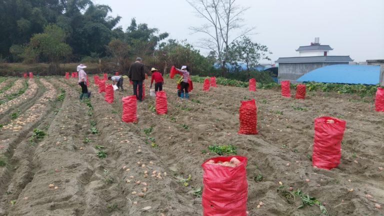 Potatoes on Mars with NASA – Annual Report 2016