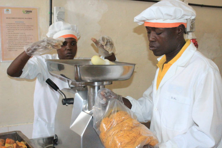 Use of Orange-fleshed Sweetpotato Purée in Bread Boosts Demand for the ...