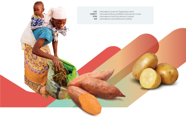 CIP at a Glance - CIP Annual Report 2019