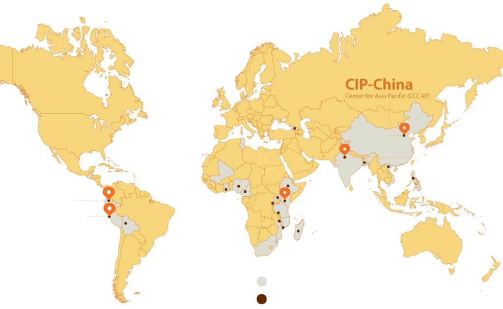 CIP at a glance - CIP Annual Report 2020