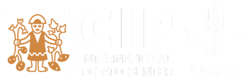 Governance and Leadership - CIP Annual Report 2021