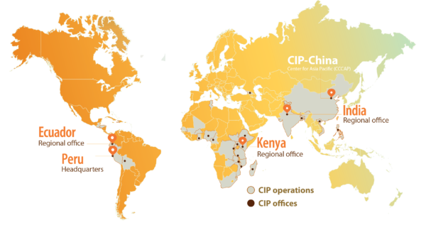 CIP worldwide - CIP Annual Report 2021