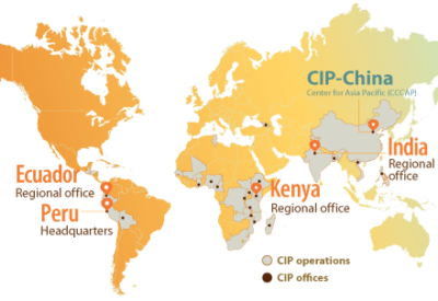 CIP worldwide - CIP Annual Report 2021