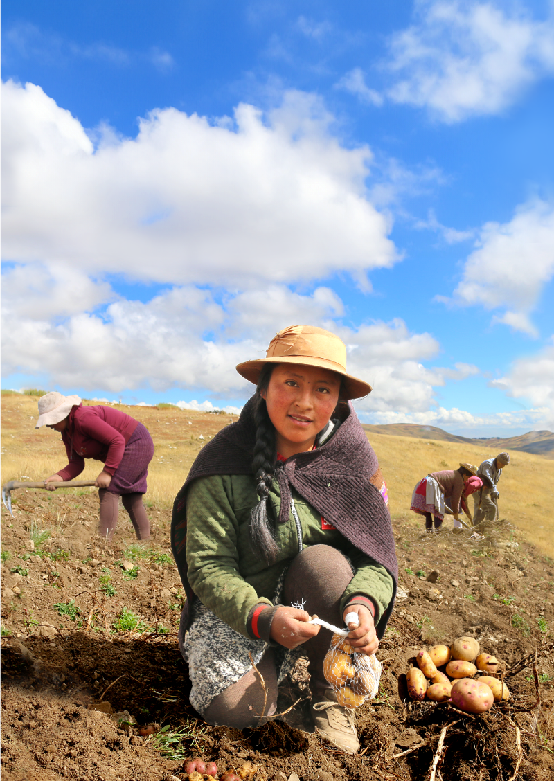 CIP Annual Report 2022