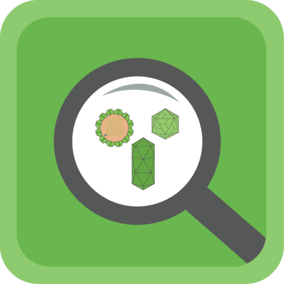 Search and Order Germplasm – CIP Genebank