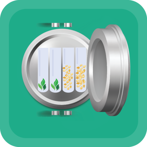 Search and Order Germplasm – CIP Genebank
