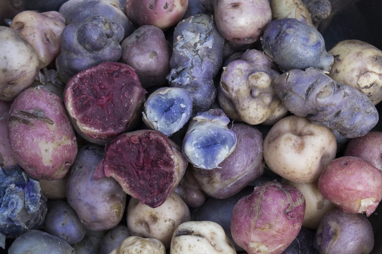 Ambassador Kenneth Quinn on the challenge of feeding 9 billion people ...