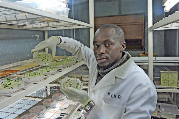 I studied the science of seeds - International Potato Center