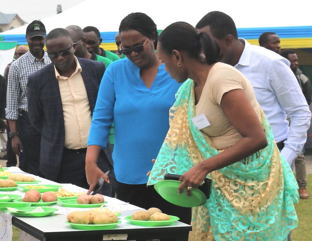 Rwanda set to release first new potato varieties in almost three ...