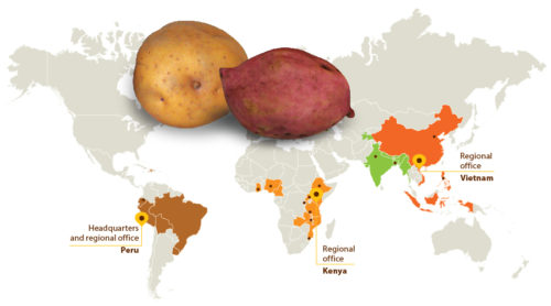 Biodiversity for the future program - International Potato Center