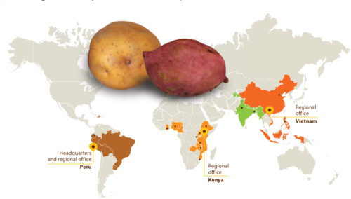 Research – International Potato Center
