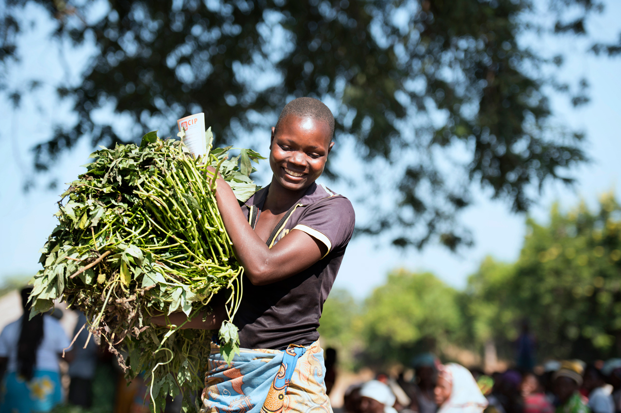 Research - International Potato Center