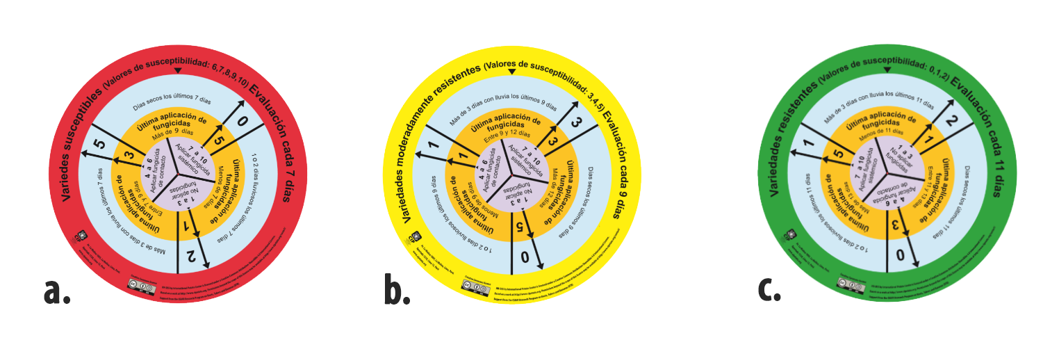 Herramienta de baja tecnología ayuda en la lucha contra el tizón tardío ...