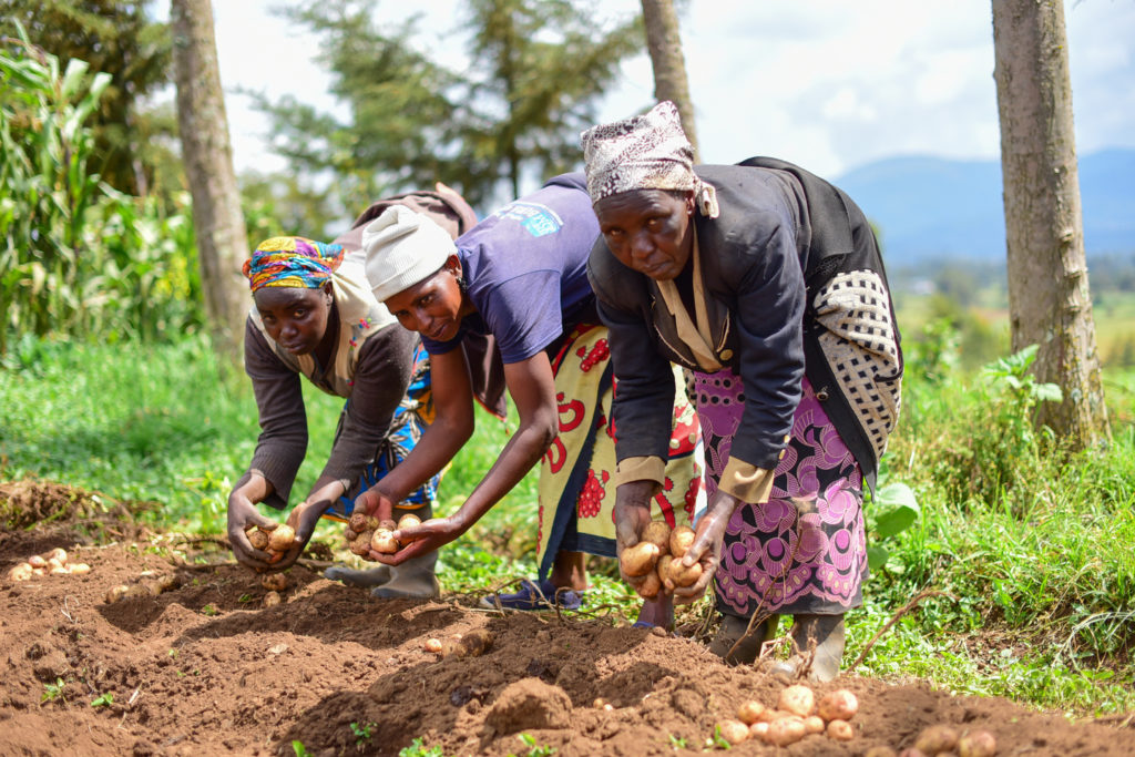 Transform Kenya Forum on food security, safety and innovation in times ...