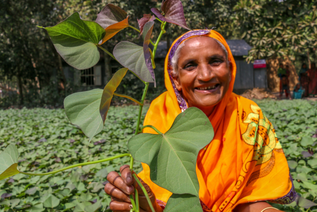 Contributing to a food systems response to COVID-19 - International ...