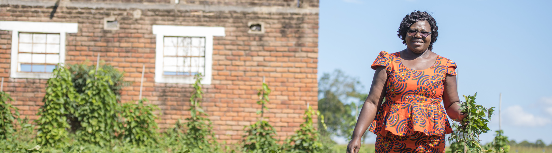 CIP - International Potato Center