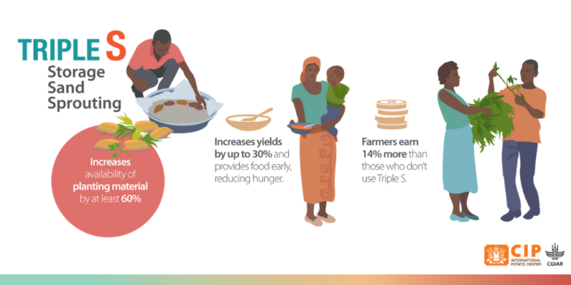 Annual Report 2019 - Social media toolkit - International Potato Center