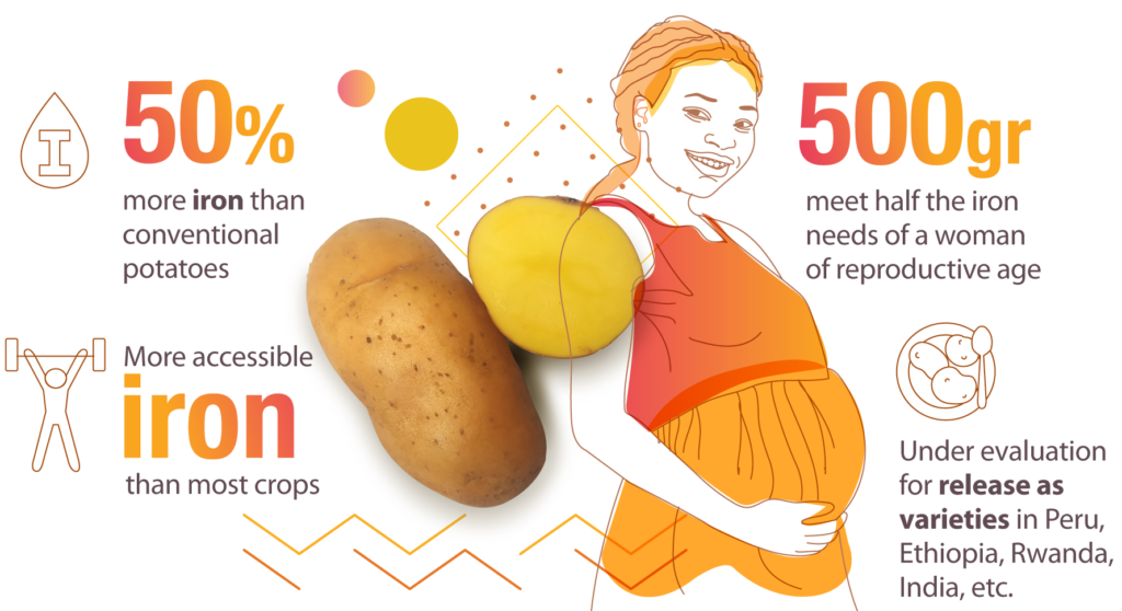 Powerful potatoes – International Potato Center