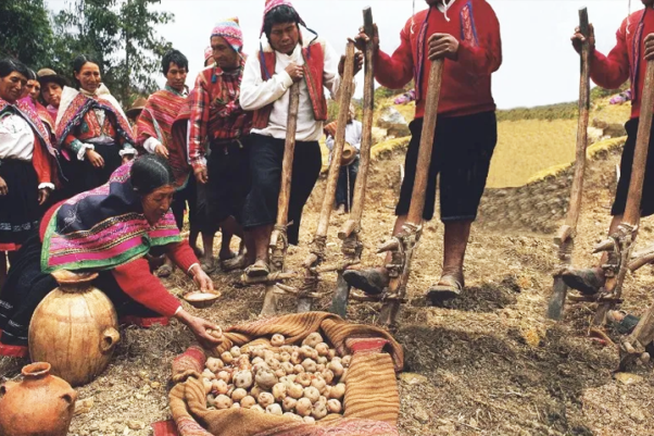 ‘Nutritional giant, friend of peasants, rulers and sages’: How the ...