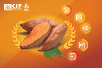 CIP - International Potato Center