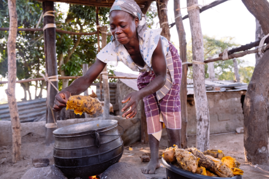 CIP - International Potato Center