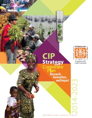 CIP Strategy and Corporate Plan: Research, Innovation and Impact ...