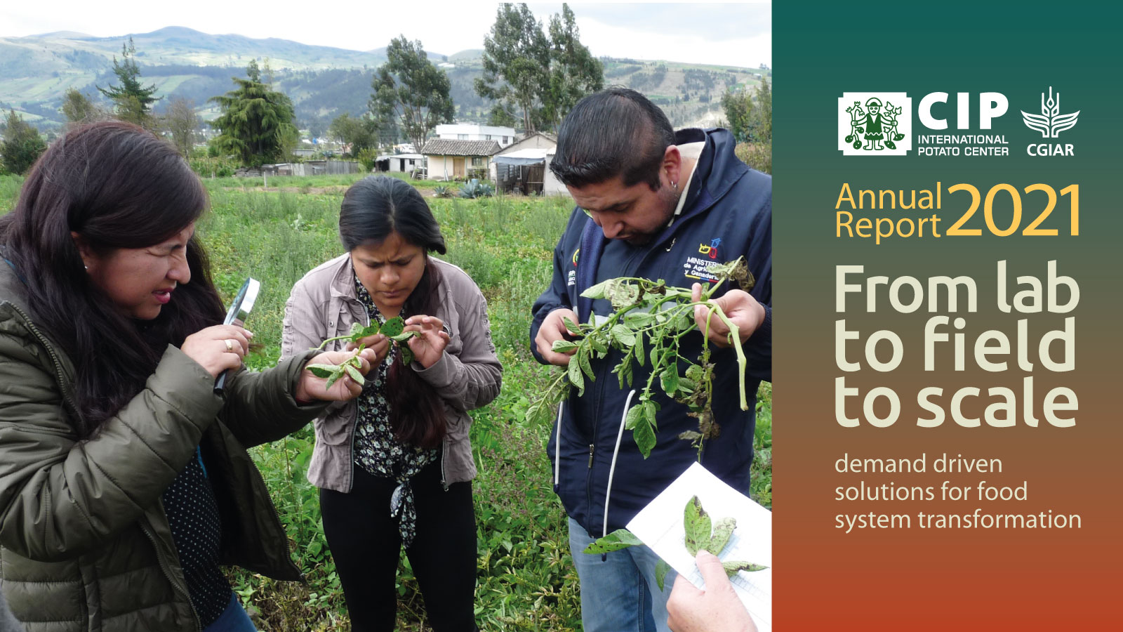 Annual Report 2021 | Social media toolkit - International Potato Center