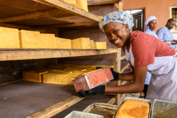 CIP - International Potato Center