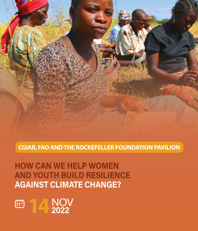 CGIAR, FAO and The Rockefeller Foundation Pavilion: How can we help women and youth build ...
