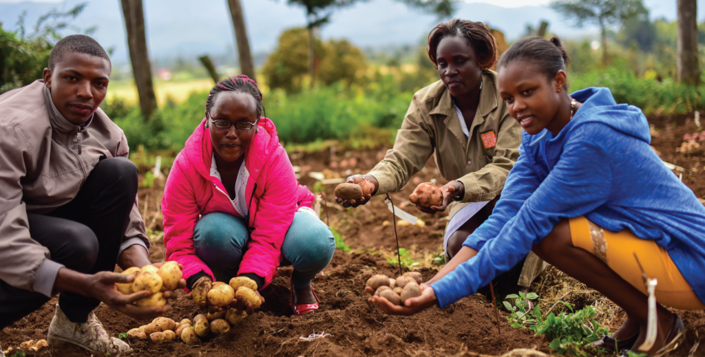 Feed the Future accelerated institutional and food system development in Kenya - International ...