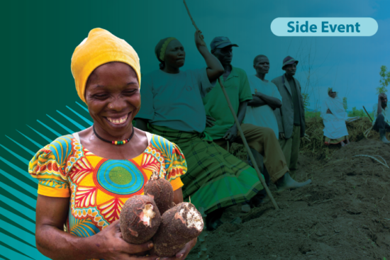 CIP - International Potato Center