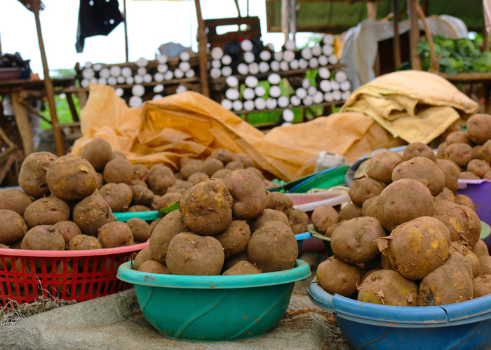The Future of Roots and Tubers under One CGIAR – International Potato ...