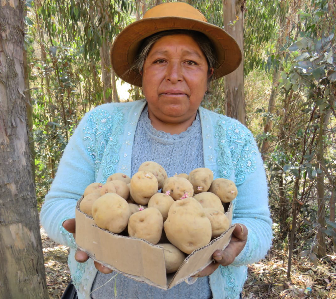 Harnessing the power of wild potatoes to feed a climate-challenged ...