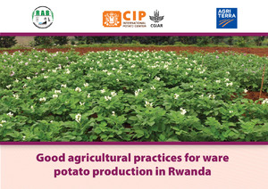 Good agricultural practices for ware potato production in Rwanda. Visual Aid - International ...
