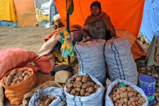 Drought and frost batter vital potato crops in Bolivia – International ...