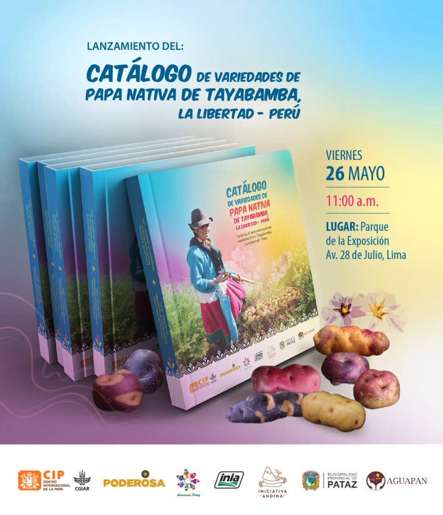 Lanzamiento del: Catálogo de variedades de papa nativa de Tayabamba, La ...
