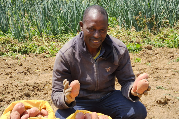 Press releases - International Potato Center