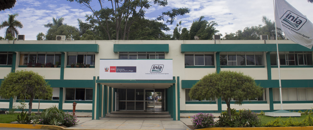 INIA avanza en la búsqueda de técnicas para conservar cultivos ...