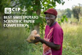 CIP - International Potato Center