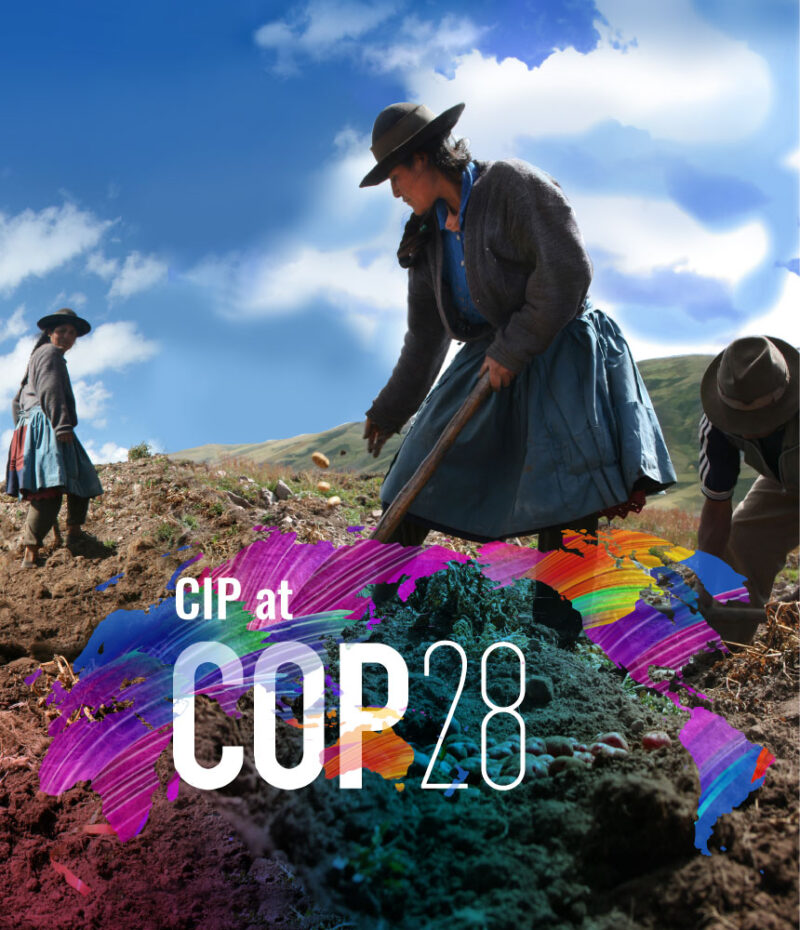 CIP at COP28 - International Potato Center