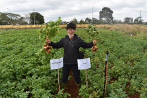 CIP - International Potato Center
