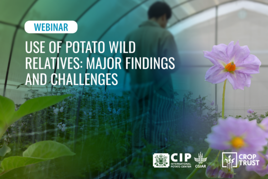 CIP - International Potato Center