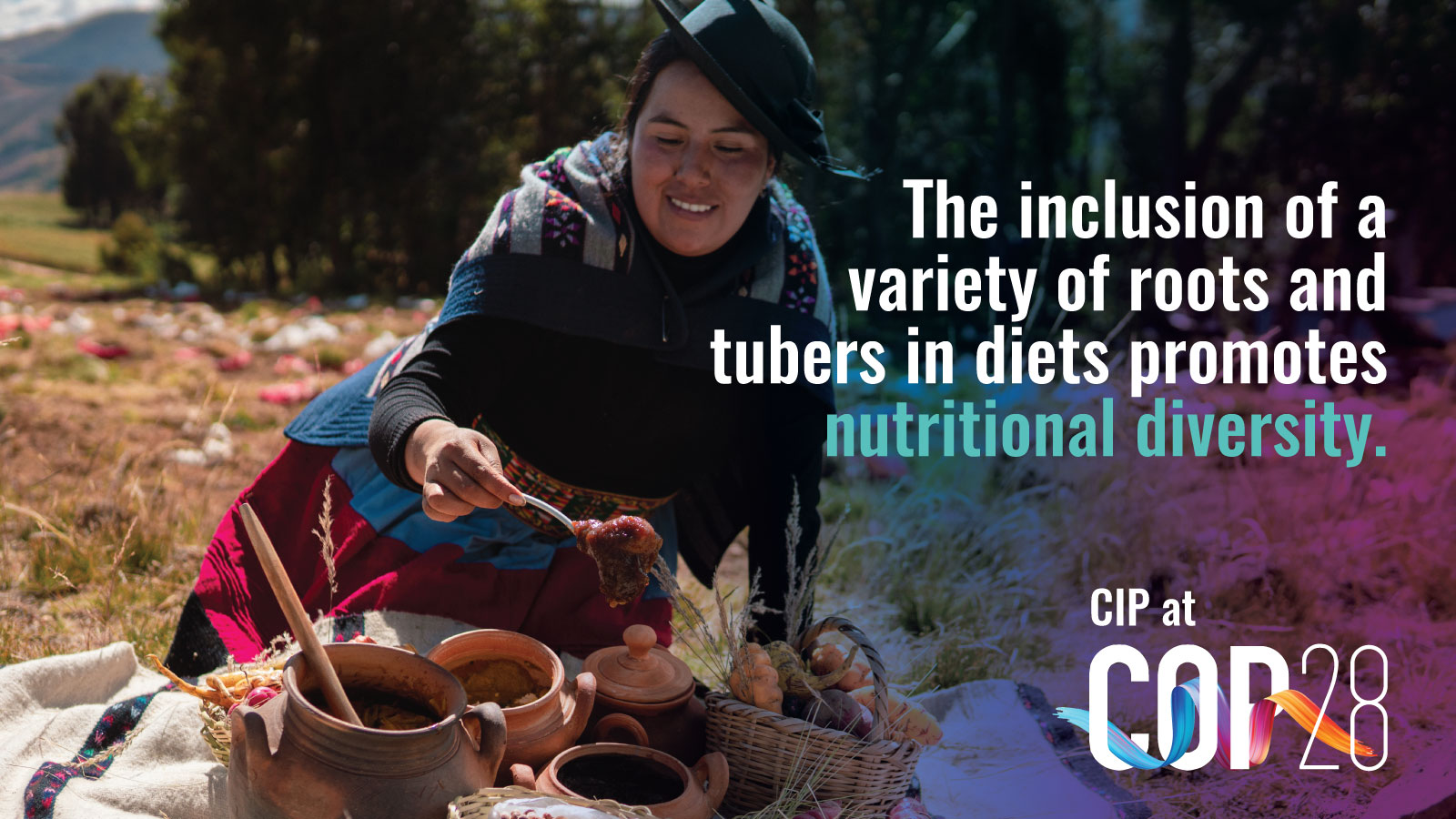 CIP at COP28 | Social media toolkit - International Potato Center