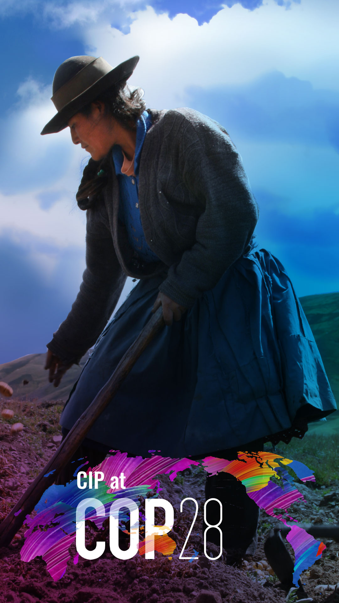 CIP at COP28 | Social media toolkit - International Potato Center