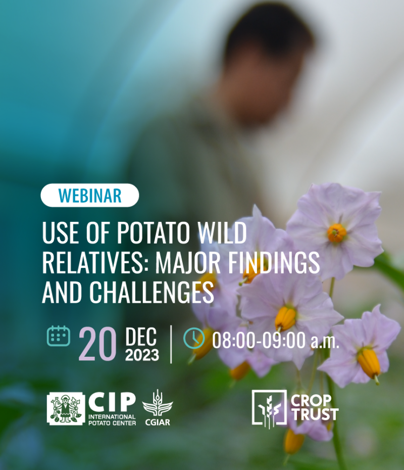 Use of potato wild relatives: Major findings and challenges [Webinar 2 ...