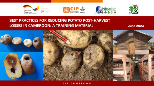 Best practices for reducing potato post-harvest losses in Cameroon: A ...