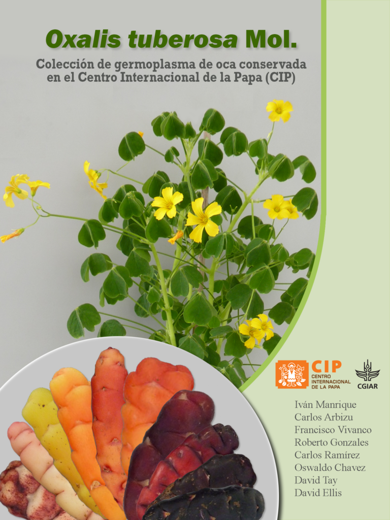 Oxalis tuberosa Mol. Colección de germoplasma de oca conservada en el ...
